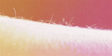 What Is An Orgasm Why Orgasms Happen According To A Sex Scientist