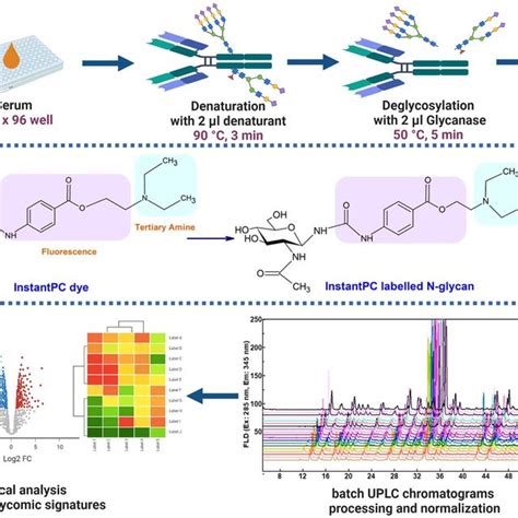 Workflow For High Throughput And High Sensitivity Human Serum