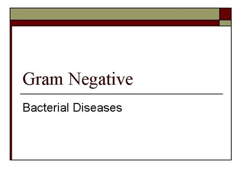Gram Negative Bacterial Diseases Proteobacteria O Alpha Parasitic