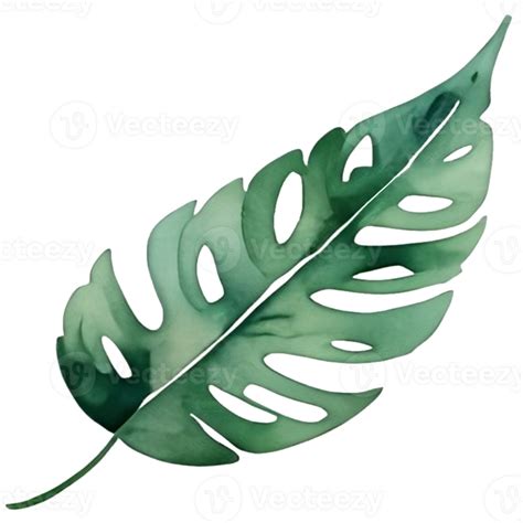 Watercolor Leaf Painting 27289780 Png