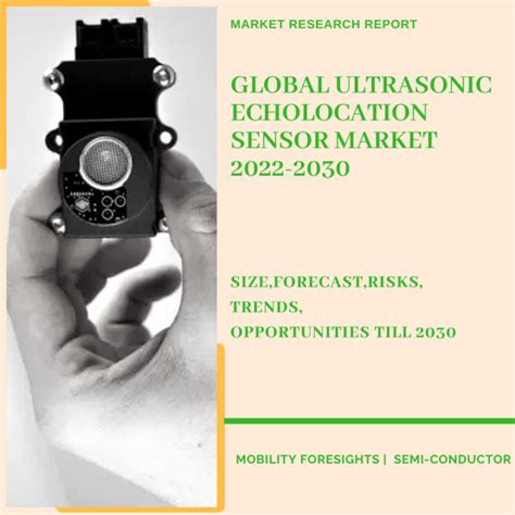Global Ultrasonic Echolocation Sensor Market 2022 2030 January 2024 Updated