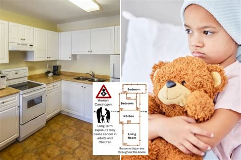 What Is Hantavirus Pulmonary Syndrome Gene Hackmans Wife Betsy