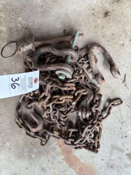 Small Chain And Clevis Schmid Auction