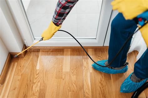 Leveraging Review Management For Pest Control To Outrank