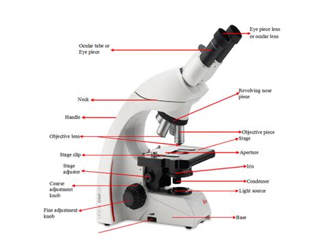 Microscope Part A Guide To Functions And Uses