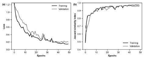 Training And Validation Curves Of The Trained U Net Segmentation Model Download Scientific Diagram