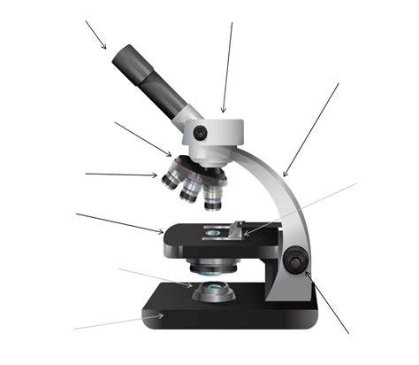 Microscope Quiz Diagram Quizlet