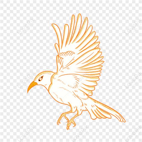 노란 새 Png 일러스트 무료 다운로드 Lovepik