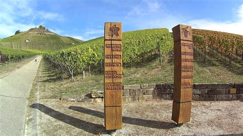 독일 시골 동네 포도밭 풍경 Youtube