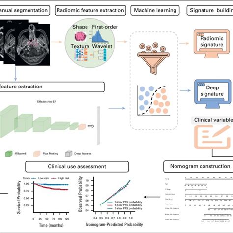 Workflow In This Study Mri Magnetic Resonance Imaging Download