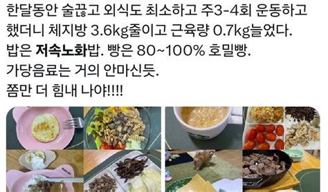 Sns로 보는 세상 저속노화 식단 열풍