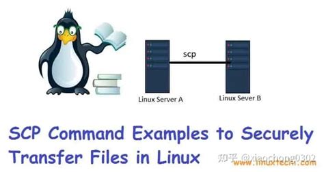 Linux 中如何使用 Scp 命令安全传输文件？ 知乎