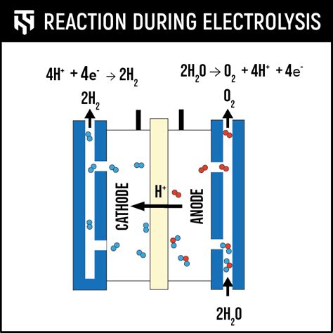 Electrolyzer And Hydrogen Fuel Cell Safety Totalshield