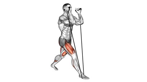 10 Hip Exercises With Bands To Get Your Hips In Shape Workout Guru 10 Hip Exercises With Bands To Get Your Hips In Shape Workout Guru