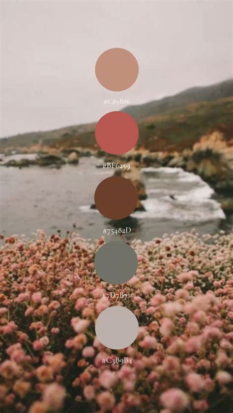 Color Palette With Hex Codes Color Scheme Ideas