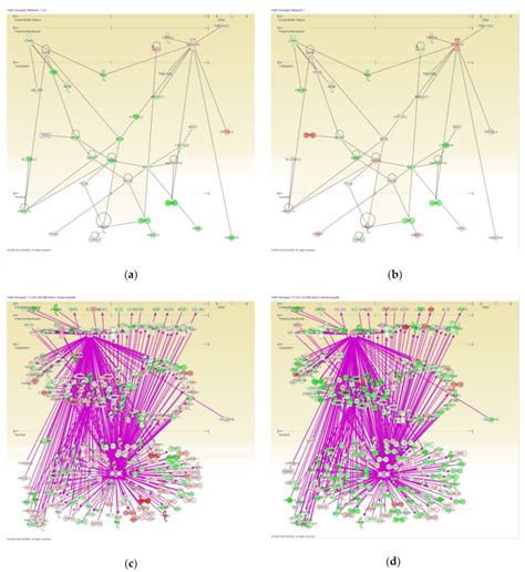 Networks Generated From Genes Altered In Intestinal And Diffuse Type