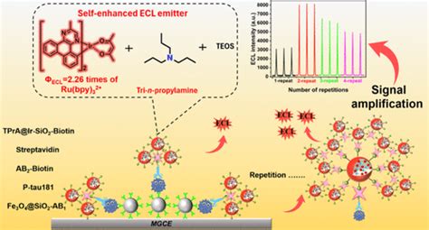 Multiple Signal Amplification Strategy To Fabricate An Ultrasensitive