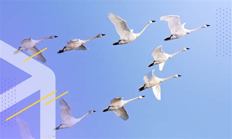 Commercetools Customers Share Migration Stories And Insights