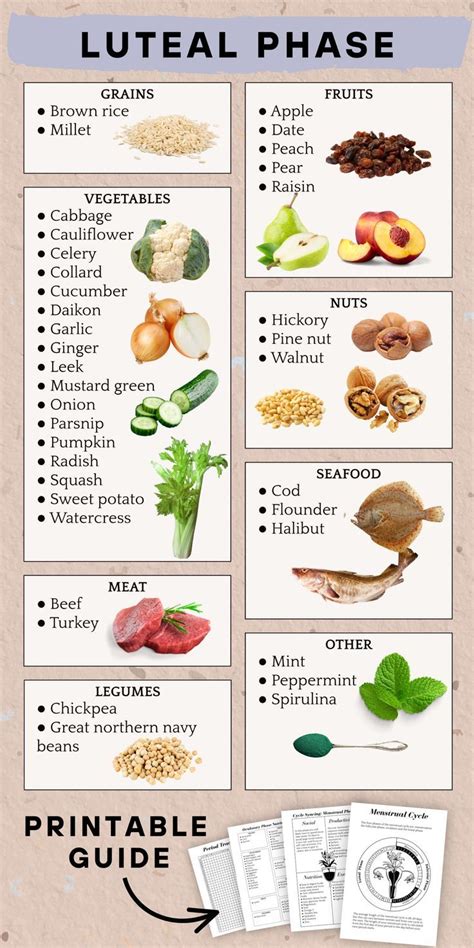 Luteal Phase Food Recipes Nutrition Cycle Syncing Guide Printable