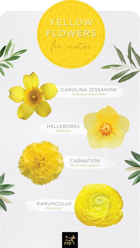 Yellow Flowers Names Yellow Flowers Small Yellow Flowers