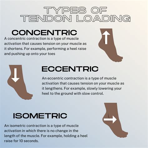 Achilles Tendinopathy And Calf Loading For Runners — The Run Rx