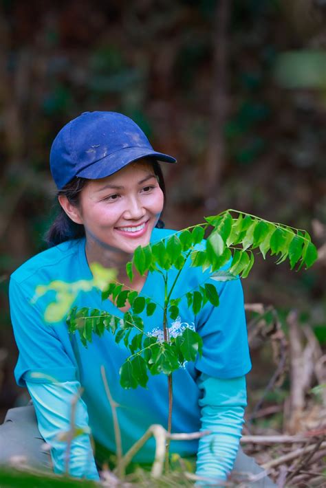 Hoa H U H Hen Ni T Tay Cu C T Tr Ng R Ng Thanh Ho