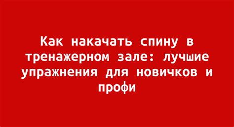 Как накачать спину в тренажерном зале лучшие упражнения для новичков и профи