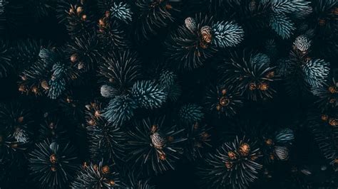 How Are Llms Creative Towards Ai