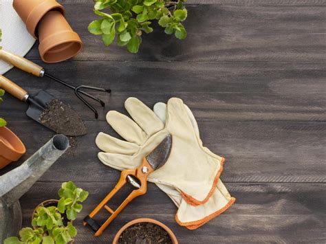 Місячний календар садівника та городника січень 2023