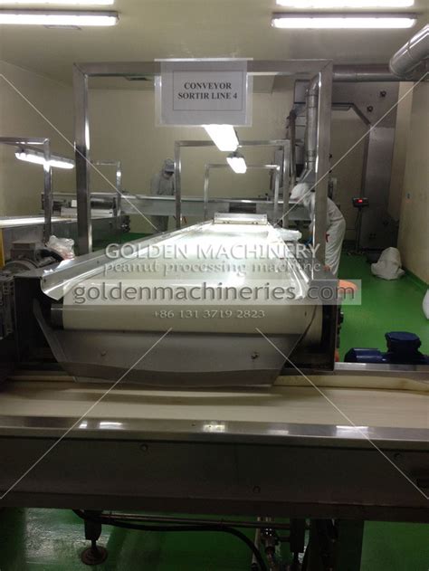 Professional Peanut Manual Sorting Belt In Peanut Sorting Production
