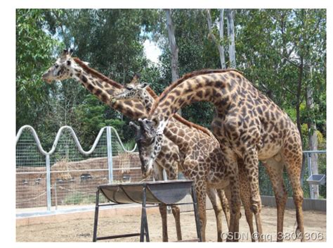 调用opencv库出现 Undefined Reference To `xxxxx‘ 的解决办法（使用mingw编译器）undefined