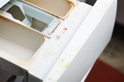 더러운 곰팡이 세탁기 세제 및 패브릭 컨디셔너 디스펜서 서랍 실 닫습니다 세탁기 트레이의 곰팡이 녹 석회스케일 가전 제품 정기