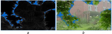 Examples Of The Edges Generated By The Standard Deviation Map A Download Scientific Diagram