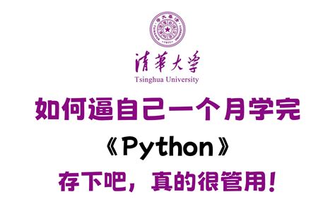 【全500集】这可能是b站最全最易懂的python零基础全套教程，2025最新版，全程干货无废话，带你一周搞定python全栈！存下吧！真的很
