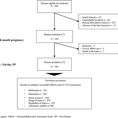 Flow Chart Nbas Neonatal Behavioral Assessment Scale Pp Post Partum