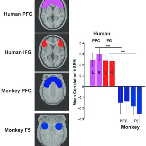 Representational Similarity Analysis Of Activations To Number And