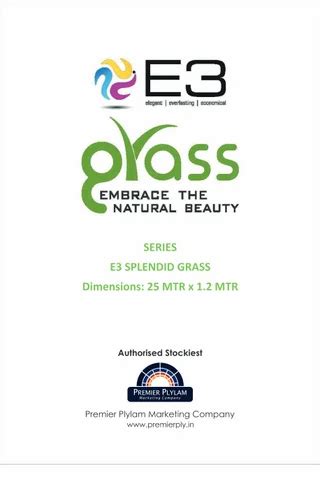 E3 Splendid Grass At Best Price In Jaipur By Premier Plylam Marketing