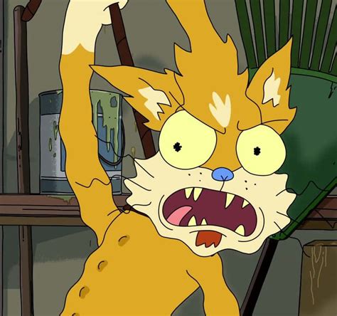 [500 ] Fonds Décran Rick And Morty