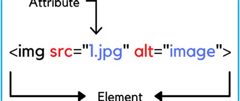 What Is Html Attribute With Examples Dev Community