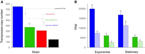A Genome Wide Number Of Transposase Genes For Acaryochloris Strains