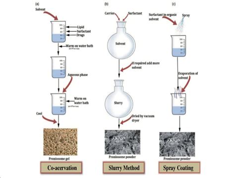 Schematic Representation Of The Preparation Of Proniosomes 79 Download Scientific Diagram