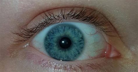 Cerulean Blue Reyes