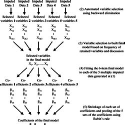 Process Of The Multiple Imputation And Derivation Of The Prediction Rule
