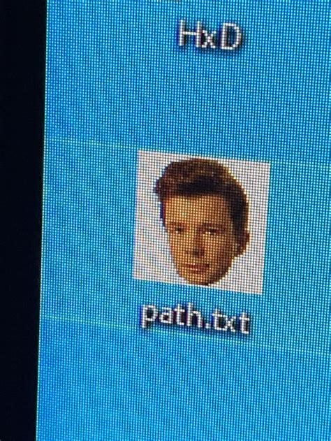 First Thing To Do After New Windows Installment R Programmerhumor