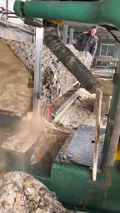 This Is How Tree Slabs Are Made