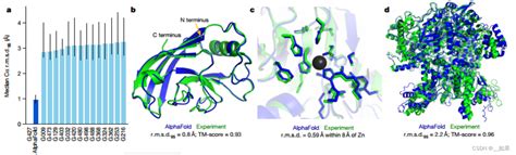 论文精读 Alphafold2alphafold2论文 Csdn博客