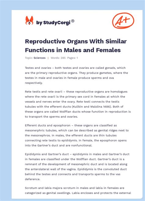 Reproductive Organs With Similar Functions In Males And Females Free