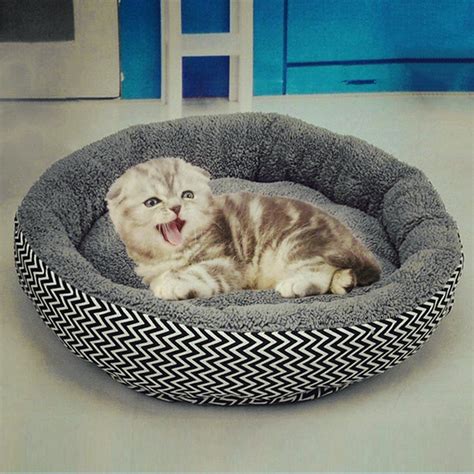 Кровать для котенка своими руками: Лежанка для кошки своими руками (70 ...