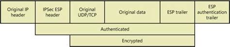 Ipsec Packet Structure Breeze Singh L3 Network Security Engineer
