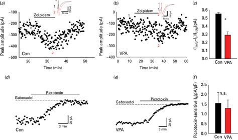 Different Modulation Of Synaptic And Extra Synaptic Gaba A Receptors Download Scientific